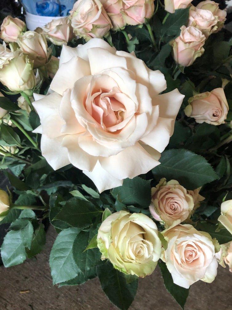 Perfect Wedding Flowers - Wedding Bouquet for Melbourne Wedding ...